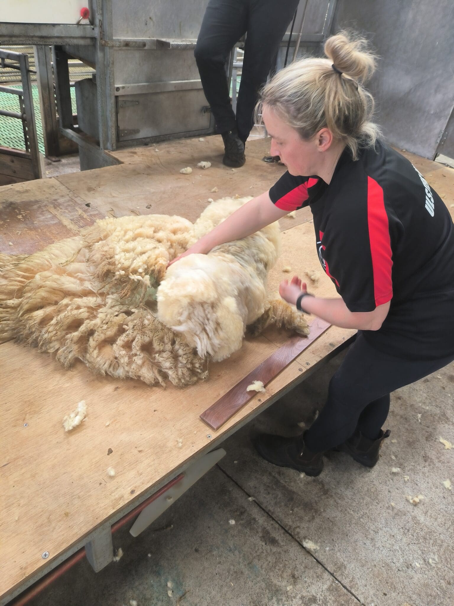 Home | Ulster Farmers Union