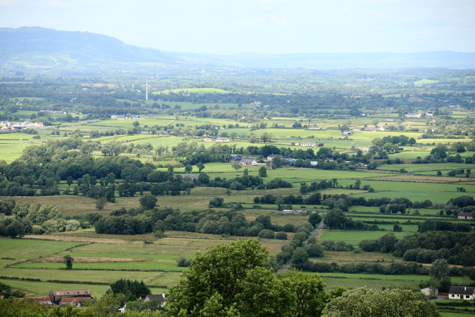 Home | Ulster Farmers Union
