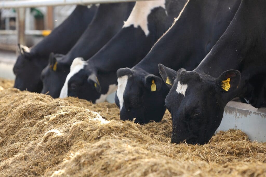 Soil Nutrient Health Scheme training for farmers | Ulster Farmers Union