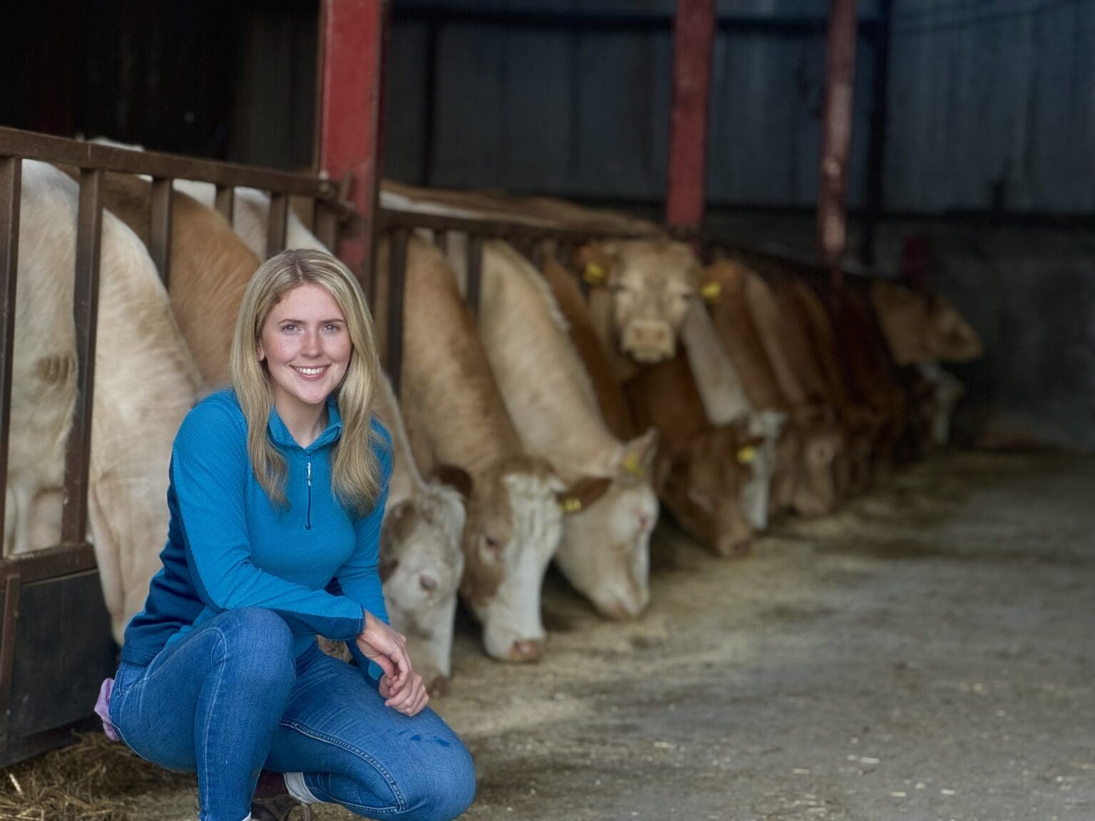 New beef carbon reduction scheme online portal now open | Ulster ...